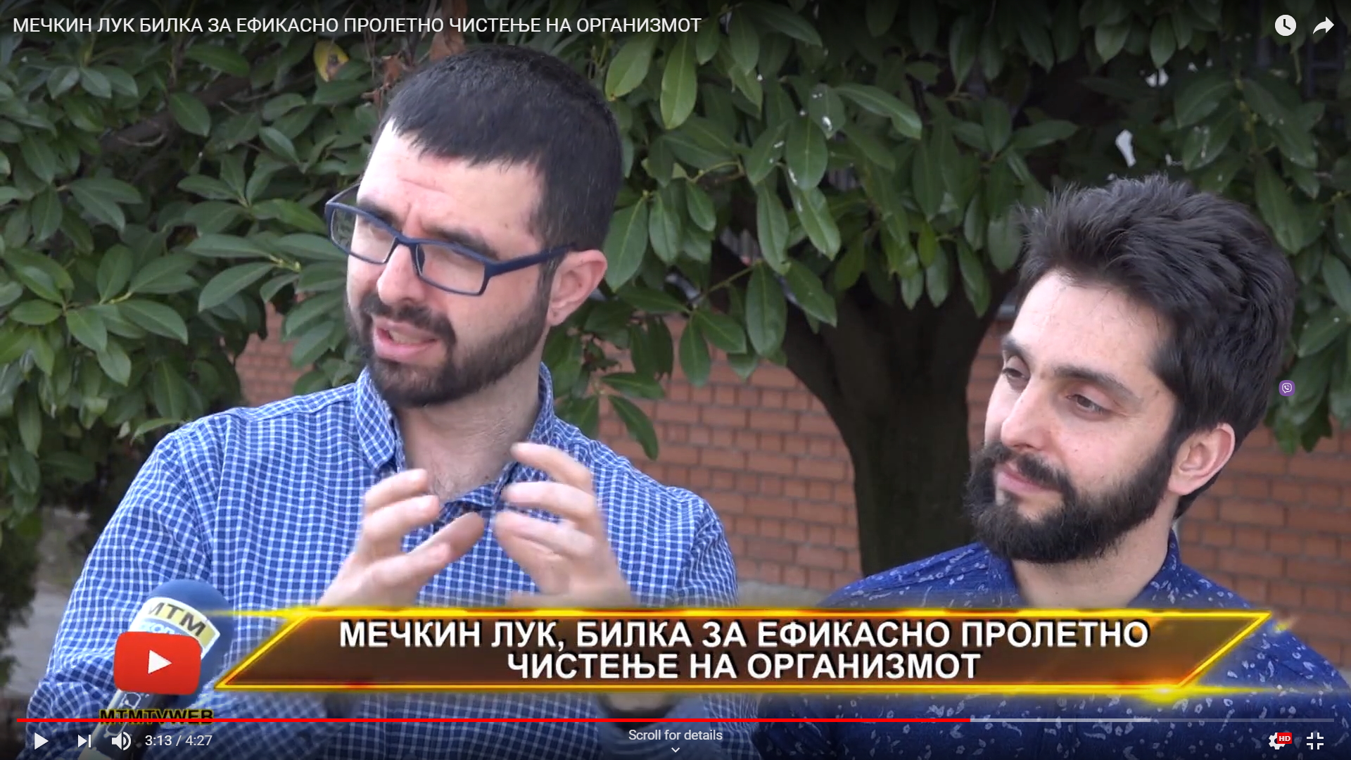 Мечкин лук – билка за ефикасно пролетно чистење на организмот – Дејан и ...